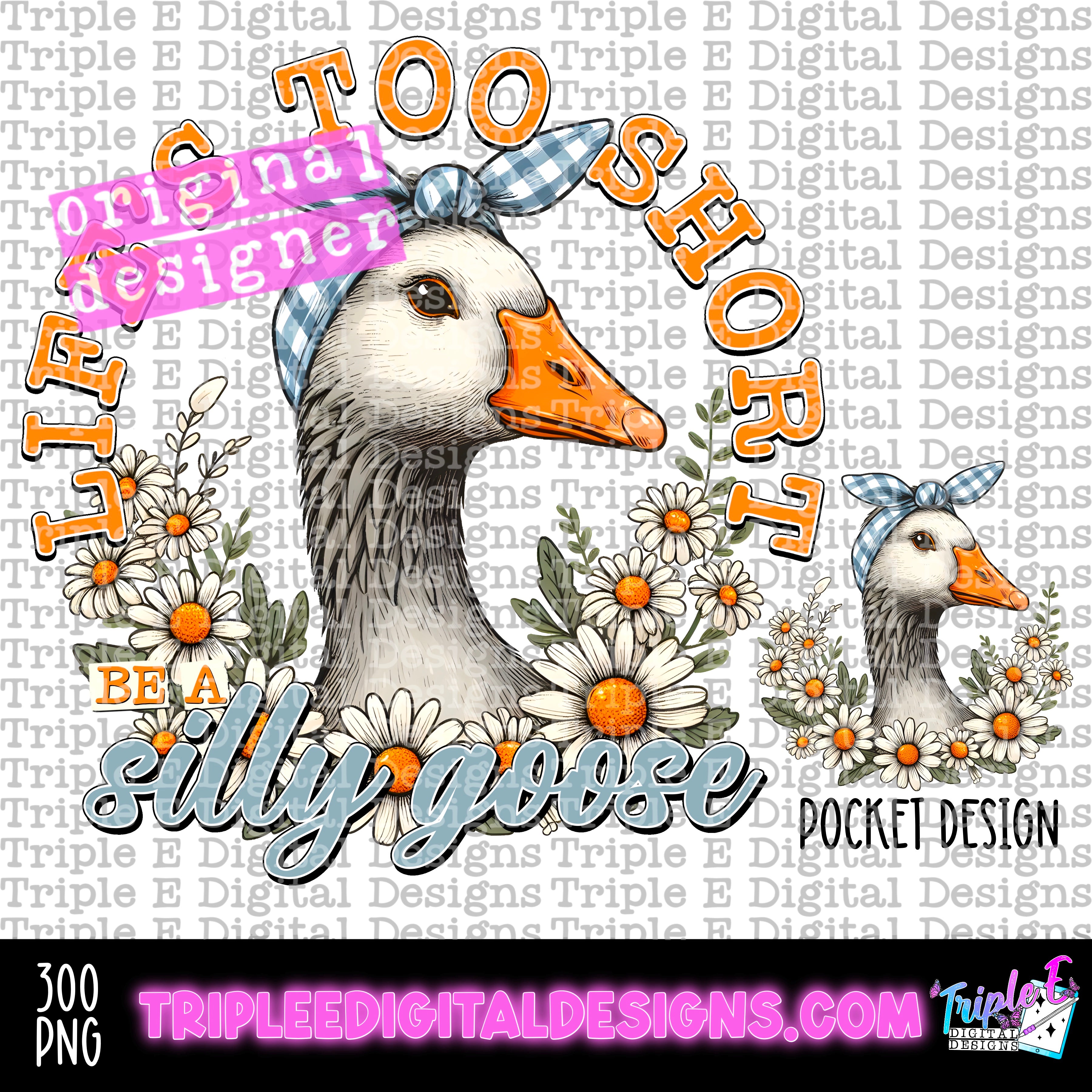 Be A Silly Goose PNG Design – Pine Hollow Design Co.